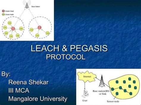 leach and pegasis ppt