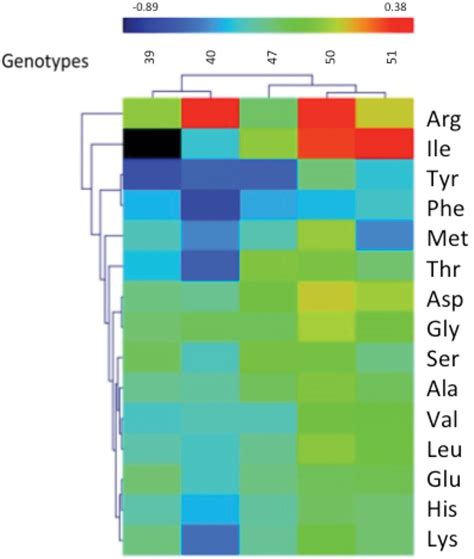 Heatmap Visualization And Cluster Tree Representations Of Amino Acid Download Scientific