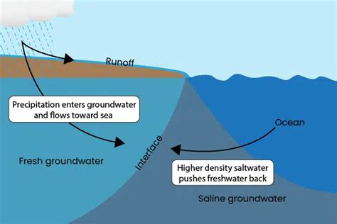 Saltwater Intrusion