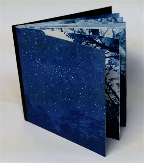 Artist Books Of Thomas Parker Williams Blue Forest 2022