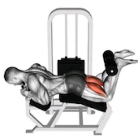 Lying Leg Curls By Litabel L Exercise How To Skimble