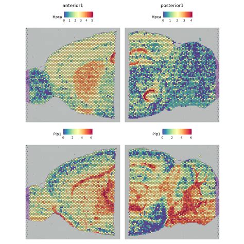 Analysis Visualization And Integration Of Spatial Datasets With