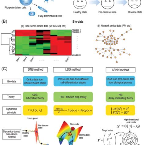 Pdf Dynamics Based Data Science In Biology