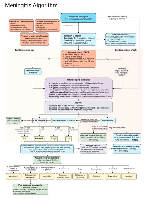 Abbas Ahmad On Linkedin Meningitis Algorithm Abbas Ahmad On Linkedin Meningitis Algorithm