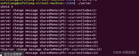 Linux 进程间通信《使用读写锁，mmap共享内存进行通信》读写锁 共享内存 Csdn博客