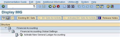 CONCEPT OF THE NEW GENERAL LEDGER IN SAP