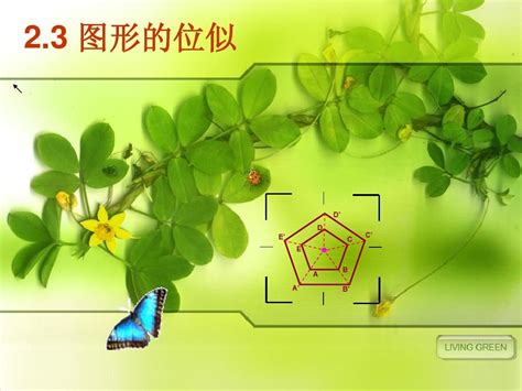 23 图形的位似》课件 青岛版九年级上word文档在线阅读与下载免费文档