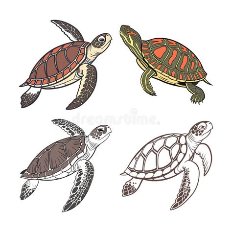 Realistic Common Map Turtle Colorful Illustration Stock Vector