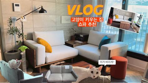Vlog 드디어 N년만에 쇼파 구매 너덜너덜한 쇼파구경 하실래요😂 Youtube