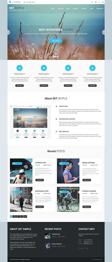 Free Simple Wordpress Theme For Simplified User Experience Wordpress Theme Best Free Free Simple Wordpress Theme For Simplified User Experience Wordpress Theme Best Free