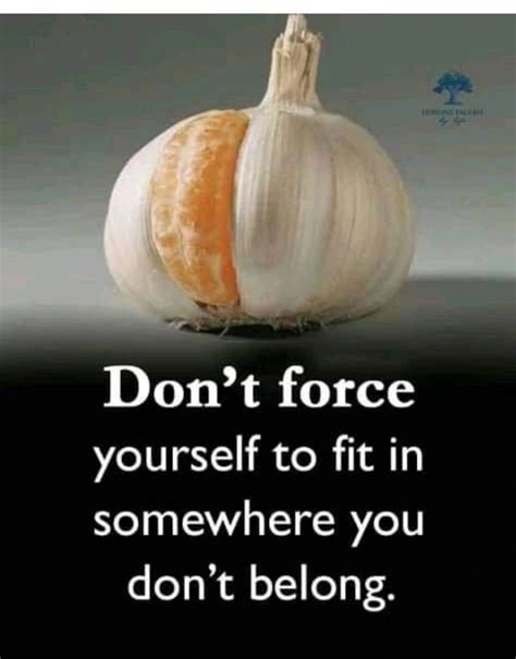 Muhammad Waseem On Linkedin Skills And Experience Give You A Very Clear Direction To Advance In