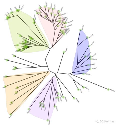 如何绘制添加分类色块的进化树？ Ggtree Size Color