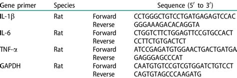 The Primer Sequences Of Targeted Rna Download Scientific Diagram