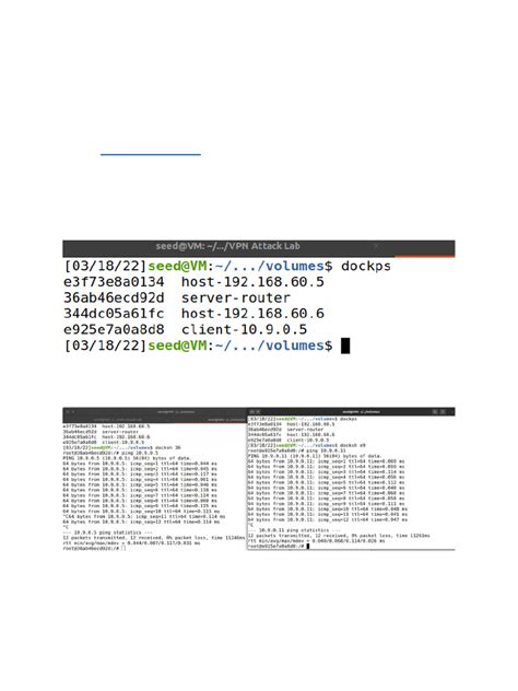 Vpn Tunneling Lab Pdf Computer Network Communications Protocols