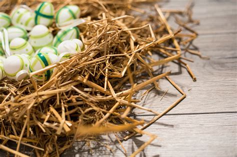 사탕 조류 및 폴카 도트 달걀 노란 튤립과 흰색 나무 테이블 배경에 로빈과의 행복 한 부활절 둥지 0명에 대한 스톡 사진 및 기타 이미지 Istock