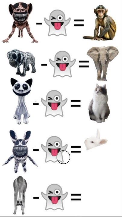 Zoonamaly 👻 Zoonamly Youtube