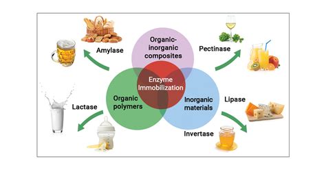 Enzymes In Food