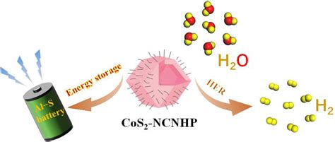 Cos2 Nanoparticles Embedded N‐doped Carbon Nanotubes Hollow Polyhedron For Hydrogen Evolution