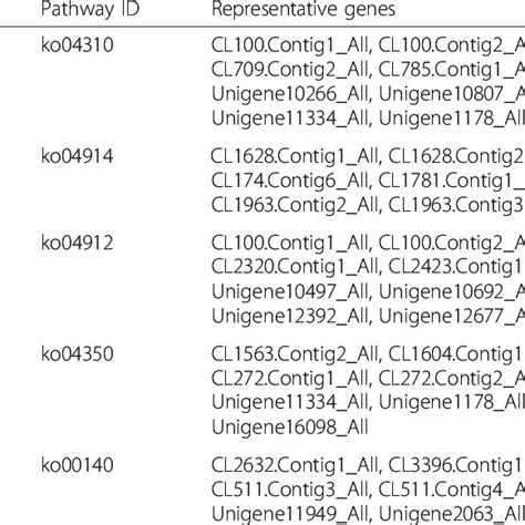 Key Genes Of The Gonadal Development And Sex Maintenance For Adult