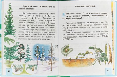 Мир учебник 2 класс