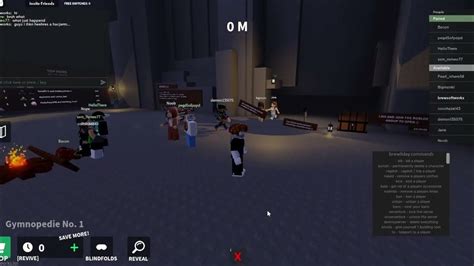 zeroday serverside trolling roblox fe bypass script youtube