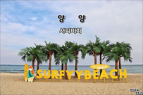 강원도 양양 갈만한곳 관광지 여행 코스 양양 서피비치 바다 볼거리 네이버 블로그