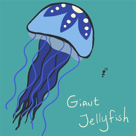 17 Giant Jellyfish Also Known As Nomuras Jellyfish Is About 50 To