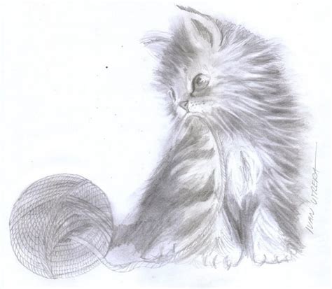 Dibujos De Gatos A Lápiz Sólo Para Amantes De Los Gatitos 🐱