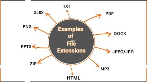 10 Examples Of File Extensions