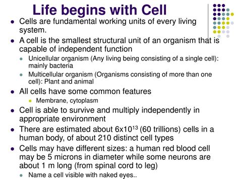 Ppt Cot 6930 Hpc And Bioinformatics Introduction To Molecular Biology Powerpoint Presentation