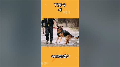 사람을 가장많이 죽이는 생명체 Top 7 Youtube