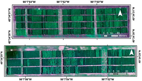Figure 1 From Comparison Of Object Detection And Patch Based Classification Deep Learning Models
