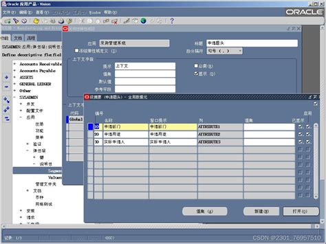 Oracle Ebs系统应用基础概述2oracle的页面用了什么flexfield怎么看 Csdn博客
