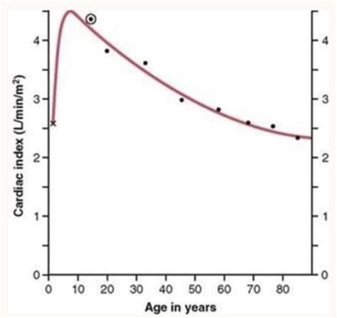 Cardiac Output And Venous Return Flashcards Quizlet