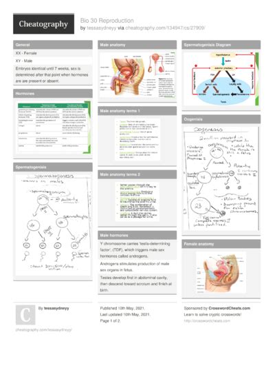 Python 3 Deutsch Cheat Sheet By Siniansung Download Free From Cheatography Cheatography