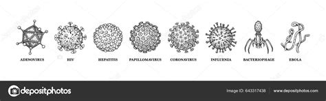 Image Vectorielle Viruses Names Isolated White Background Different