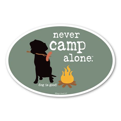 Never Camp Alone Oval Magnet Magnet America