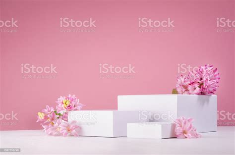 파스텔 핑크 배경에 신선한 봄 꽃이 프로듀스 장식을 위한 3개의 흰색 포디움 세트 파스텔에 대한 스톡 사진 및 기타 이미지 파스텔 강단 메이크업 화장품 Istock