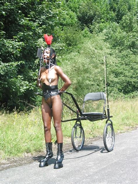 Pony Girlsanyone Porn Pictures Xxx Photos Sex Images 112416 Pictoa