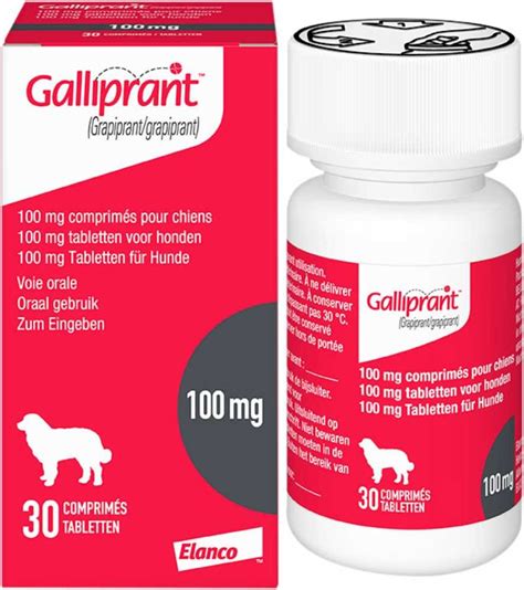Galliprant Datasheet Dosage Uses Side Effects Veterinary Medicine