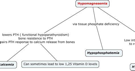 Nephron Power Concept Map Hypomagnesemia And Its Effect On Other