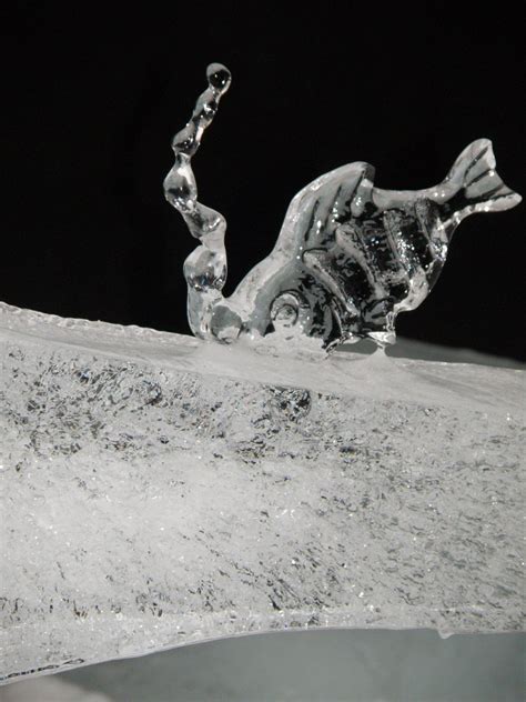 무료 이미지 물고기 얼음 미술 검정색과 흰색 돌 조각 2736x3648 Skillercs 1430563 무료 이미지 Pxhere