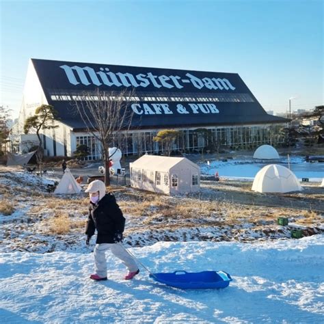 파주 아이와 가볼만한곳 파주 눈썰매장 뮌스터담 동백꽃 빵 인기 네이버 블로그