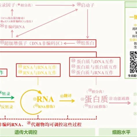 一文搞定 数据统计、图片处理软件（系列教程：基础实验、临床试验） 知乎