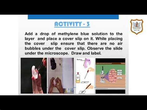 STD 8 SCIENCE CH 8 Cont 3 YouTube