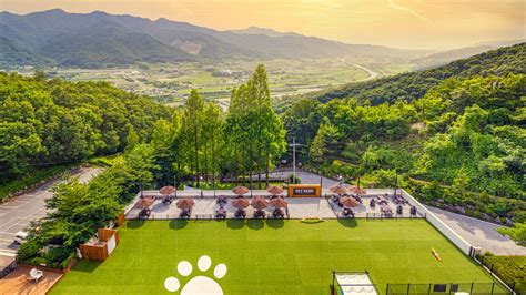 켄싱턴리조트 충주 애견동반 올마이투어닷컴