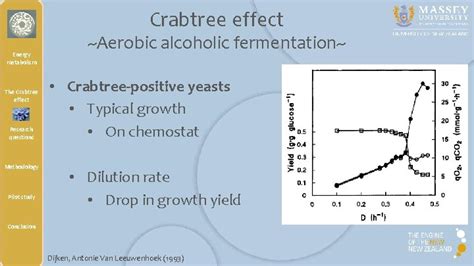Evolutionary Biology The Crabtree Effect And Its Influence