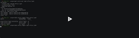 Home Assistant Cli At Dev · Home Assistant Ecosystem Home Assistant Cli · Github