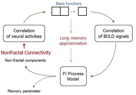 3 The Physical Implication Of Nonfractal Connectivity Download Scientific Diagram
