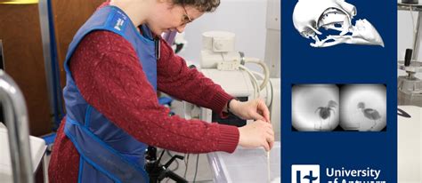 Dynxlab Center For 4d Quantitative X Ray Imaging And Analysis